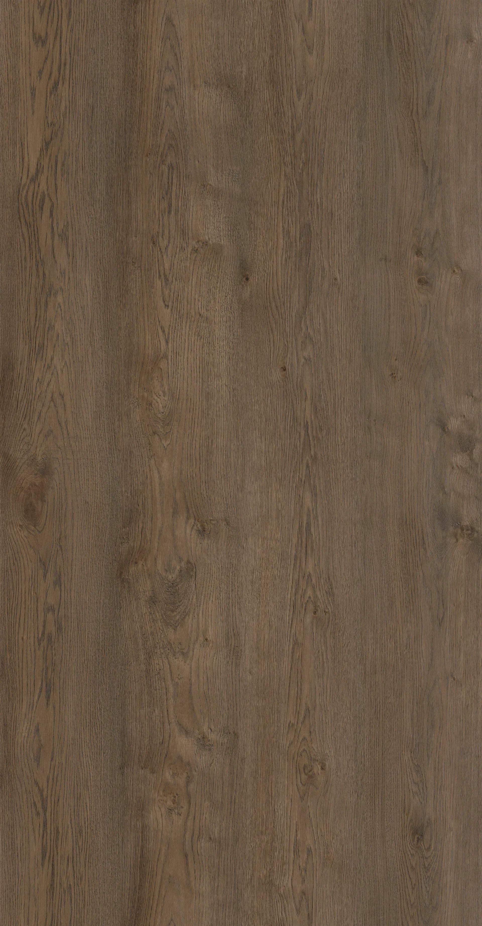 COREtec Naturals 1800+++ Serie 2887 Elon | Click PVC